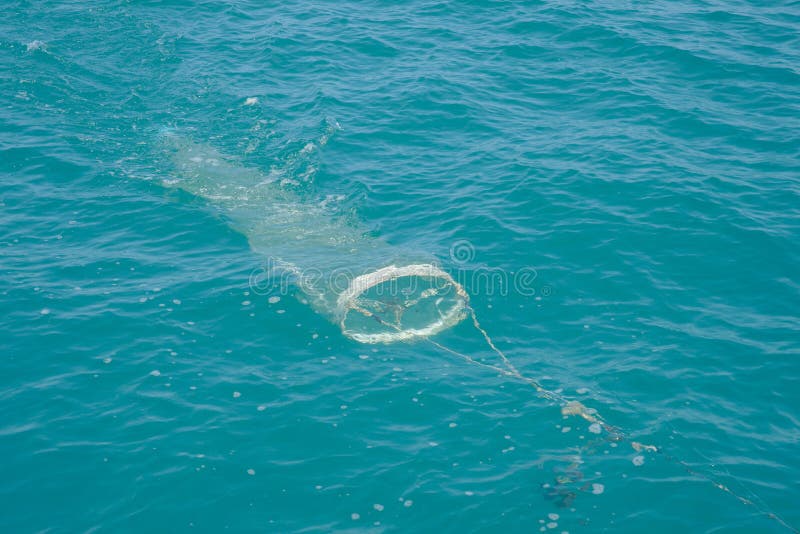 Plankton sampling collect stock photo. Image of microscope - 95223270