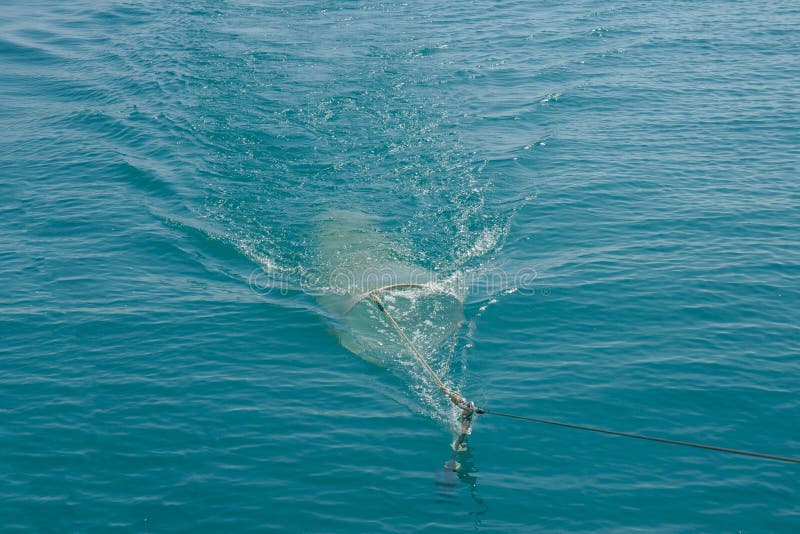 Plankton sampling collect stock photo. Image of green - 95223290
