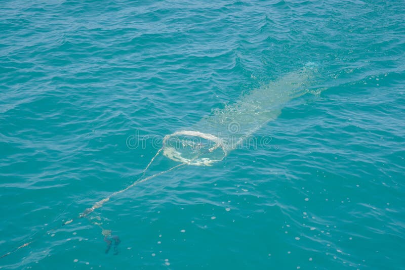 Plankton Sampling Stock Photos - Free & Royalty-Free Stock Photos from ...