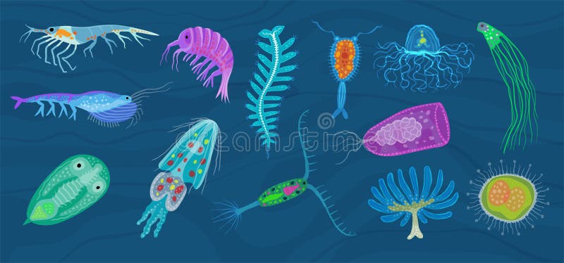 Plankton. Underwater Ocean Life Different Microorganism Recent Vector ...