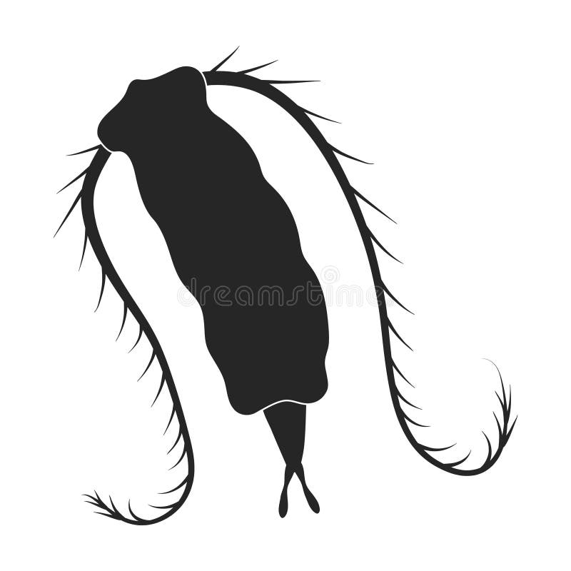 Copepod Icon Stock Illustrations – 105 Copepod Icon Stock Illustrations ...
