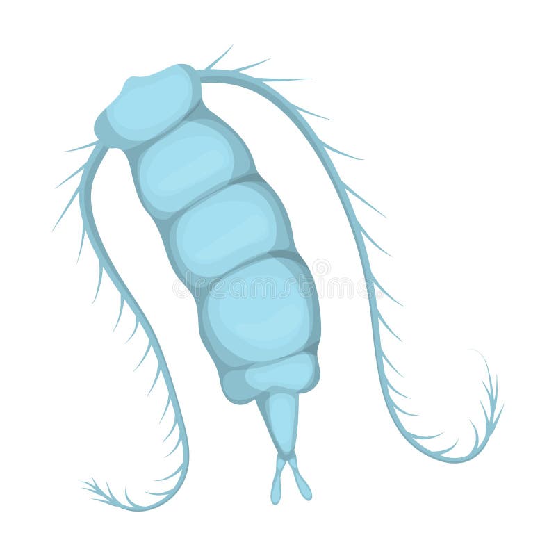 Plankton Vector Icon.Cartoon Vector Icon Isolated on White Background ...