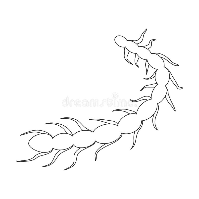 Copepod Icon Stock Illustrations – 89 Copepod Icon Stock Illustrations ...