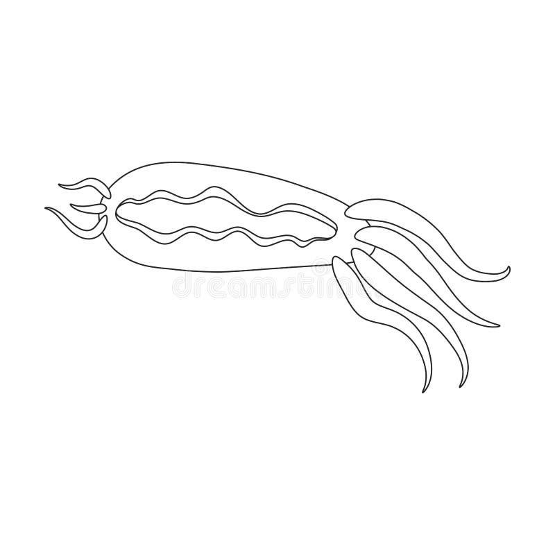 Copepod Icon Stock Illustrations – 105 Copepod Icon Stock Illustrations ...