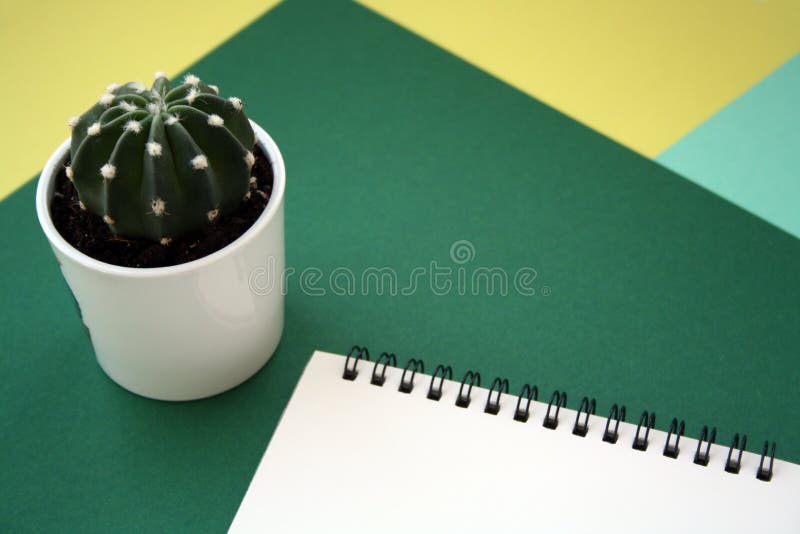 Planner Layout, Open Blank Spiral Notebook for Design, Lettering, Text ...