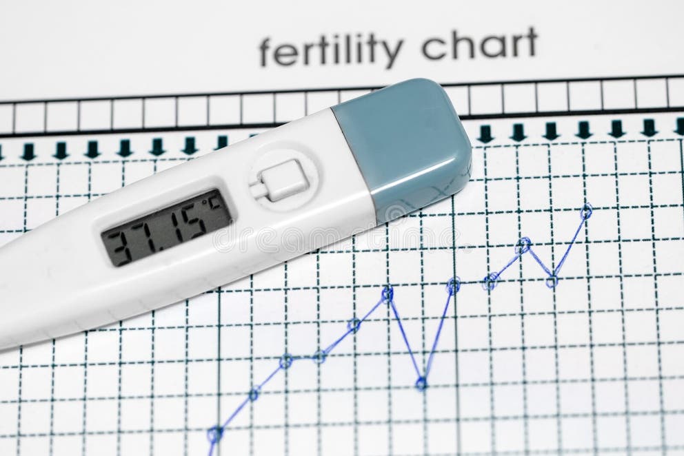 Planning of Pregnancy. the Fertility Chart Stock Image - Image of drugs ...