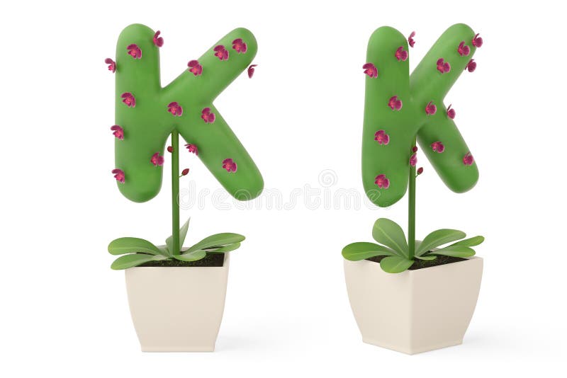 Plant Alphabet K and Flowerpot.3D Illustration. Stock Illustration ...