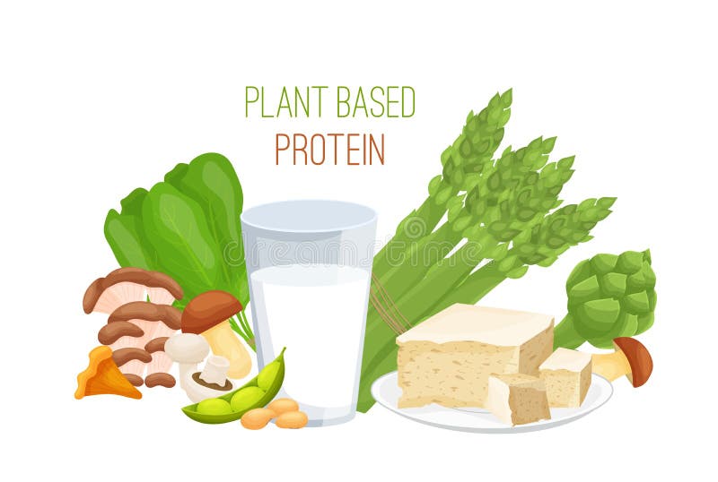 Plant Based Protein Concept. Editable Vector Illustration Stock Vector ...