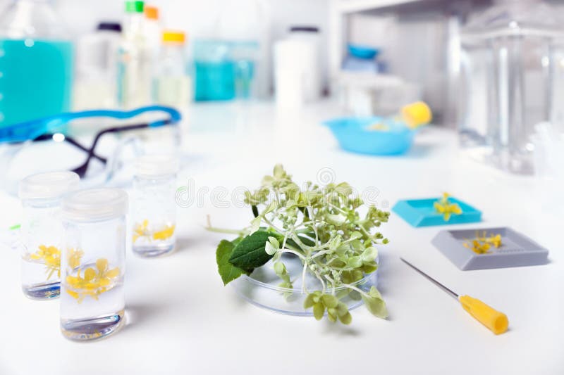 Biological Needle Samples Stock Photos - Free & Royalty-Free Stock ...