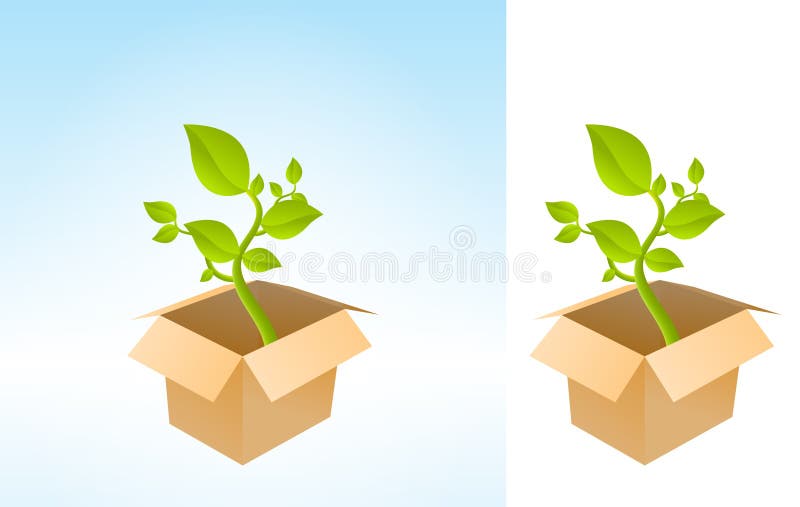 Box Plant Stock Illustrations – 49,664 Box Plant Stock Illustrations ...