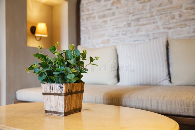 Plant Bucket Decorated on Table Stock Photo - Image of plant ...