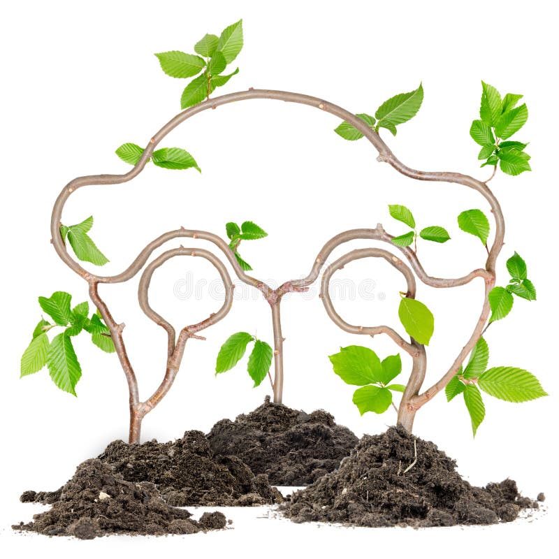 Plants Growing Soil Heaps Forming Car Stock Photos - Free & Royalty ...