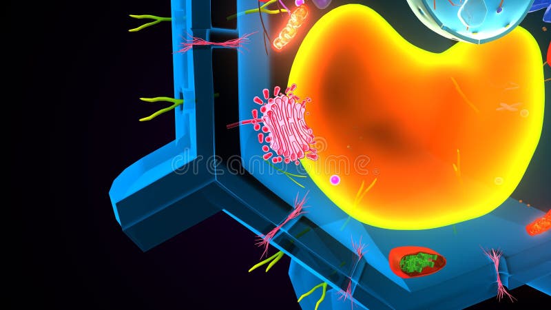 Prominent Central Highlight Stock Illustrations – 68 Prominent Central ...