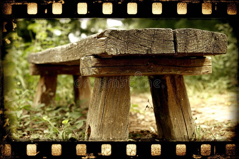 Plant Cell Structure Observed Under a Microscope Reveals Intricate ...