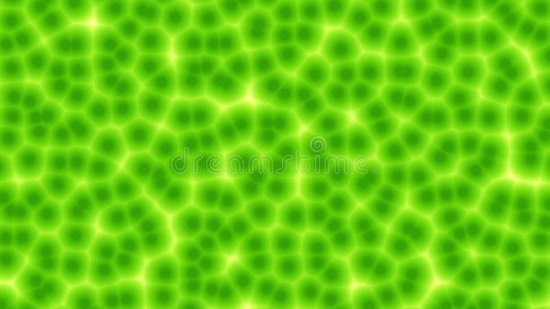Plant Cells Computer Generated Seamless Loop Animation Stock Video ...