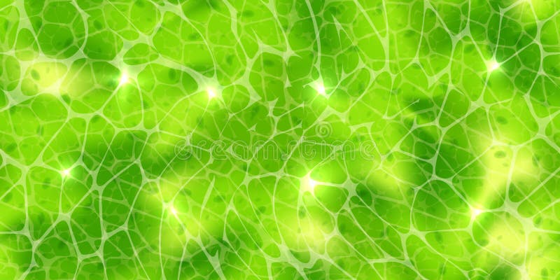 Plant Cells with Nuclears Texture Under a Microscope or Abstract Green ...