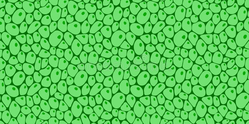 Plant Cells Template Background Vector Illustration. Leaf Structure ...