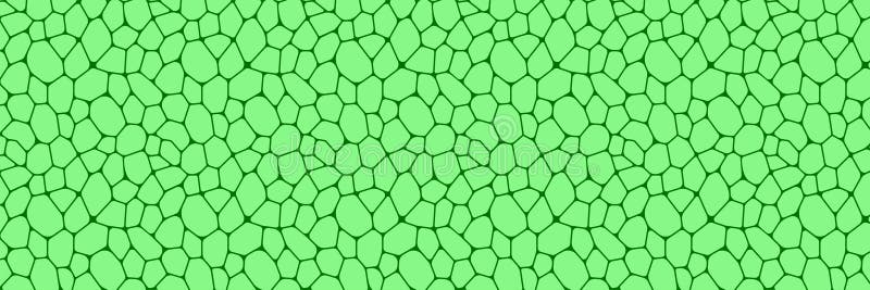 Plant Cells Template Banner Vector Illustration. Leaf Structure Close ...