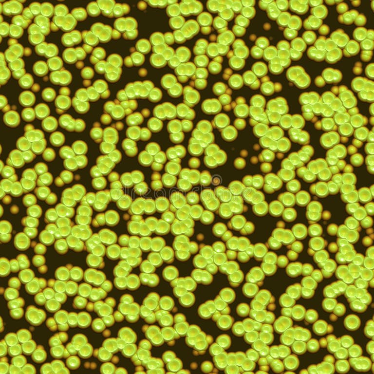 Plant Cells Under Microscope Stock Illustrations – 75 Plant Cells Under ...