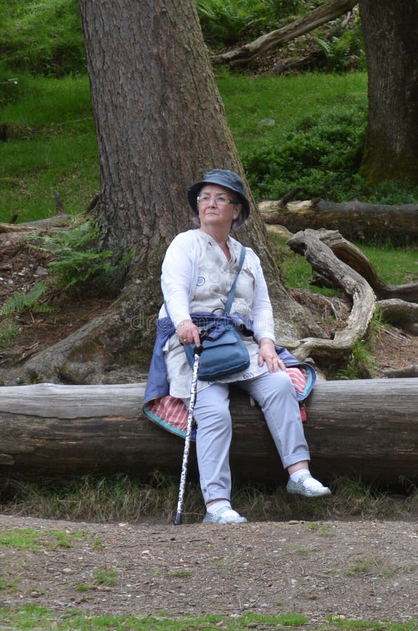 Plant, Clothing, Nature, Tree Stock Photo - Image of tree, grass: 126020600