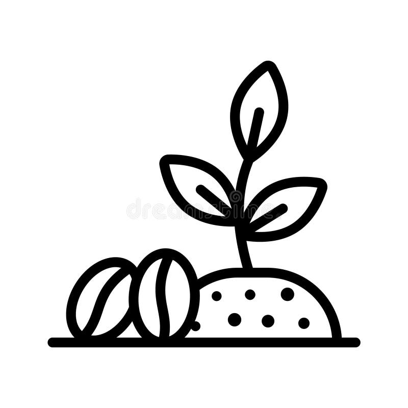 A Plant with Coffee Beans Depicting Concept Icon of Coffee Plant Stock ...
