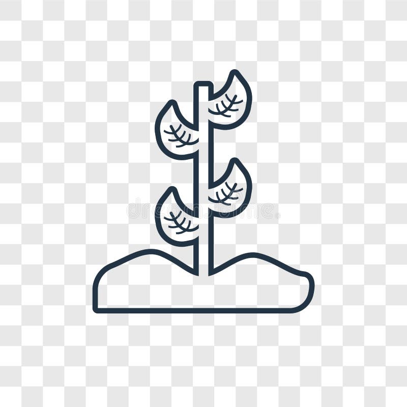 Plant Concept Vector Linear Icon Isolated on Transparent Background ...