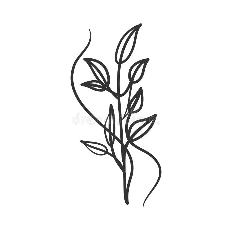 Plant Continuous Line Art Drawing Stock Vector Illustration Of