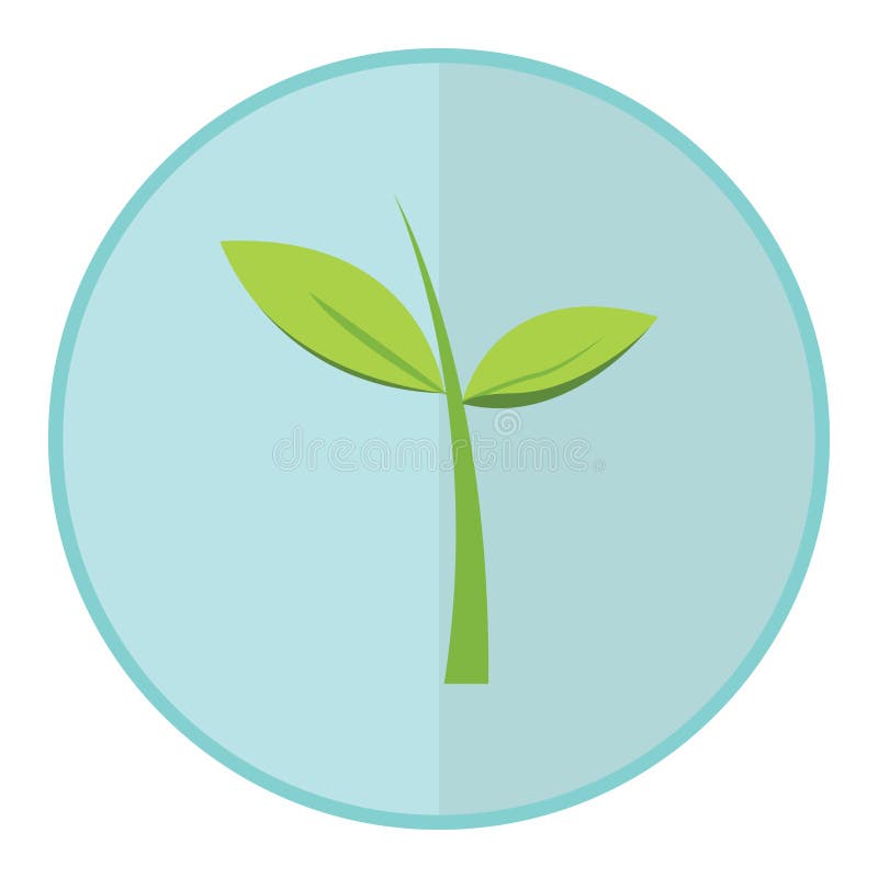 Plant Crop. Vector Illustration Decorative Design Stock Vector ...