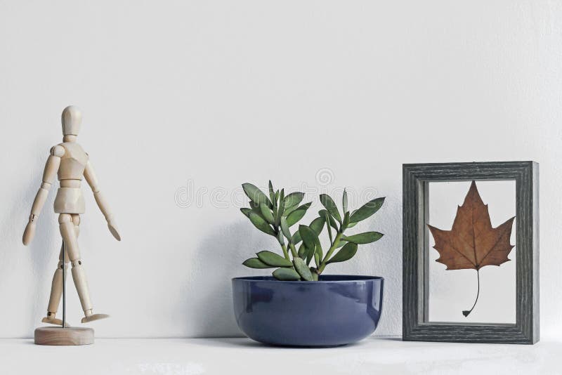 Plant with Decoration Objects on Table Stock Photo - Image of ...
