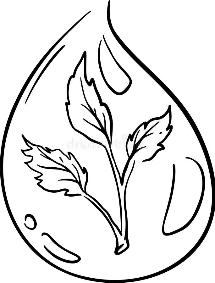 Plant, Drop, Hand Draw Vector Illustration Art Stock Vector ...