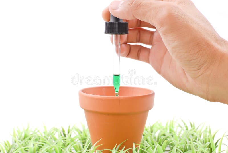 Plant Experiments stock image. Image of cure, chlorophyll - 21466543