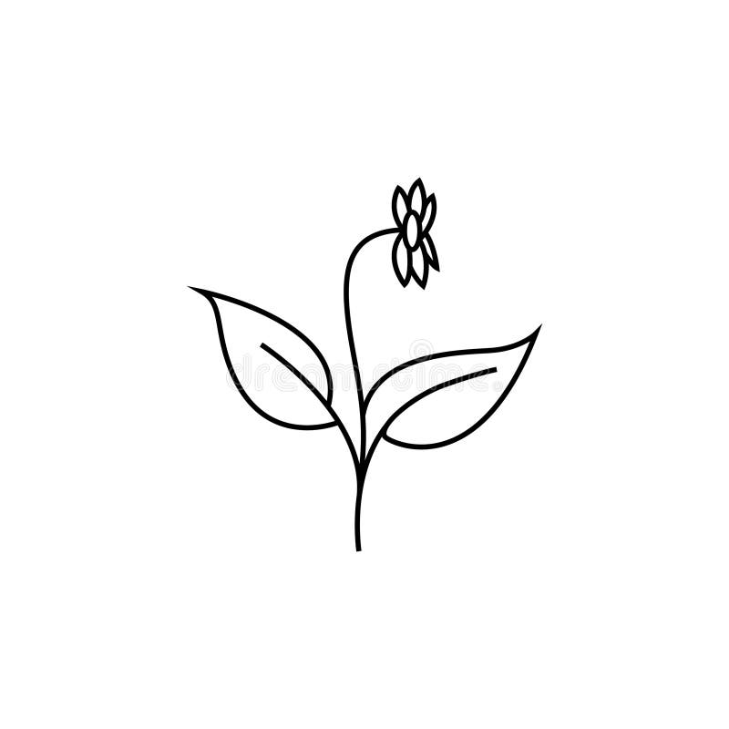 Plant Flower Logo Line Natural Vector Illustration Stock Vector ...