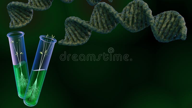 Plant Germination Inside a Test Tube and DNA Helix Stock Illustration ...