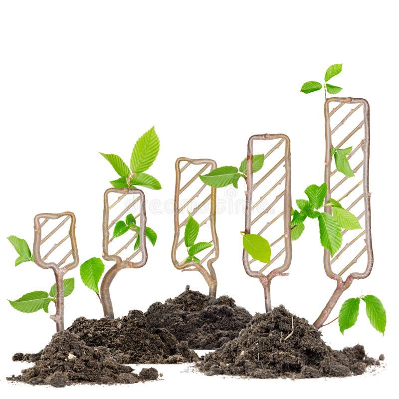 Plant graph stock image. Image of money, finance, investment - 55763915