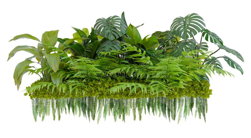 Plant Group Isolated on White Background with Clipping Path Stock ...