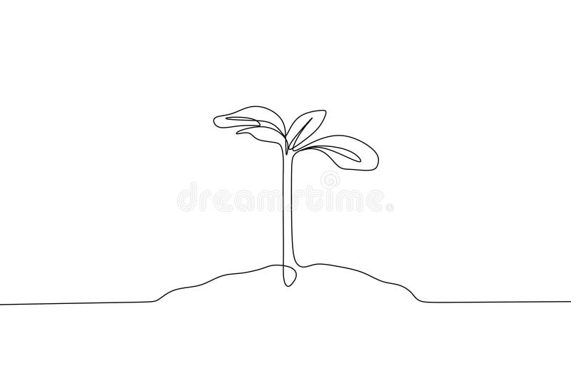 Plant Growing Continuous Line Drawing Vector Illustration Isolated On