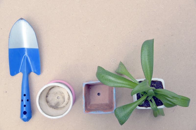Plant Growing Equipment, Small Pots, Small Soil Scoops. Stock Image ...
