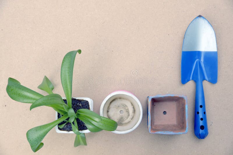 Plant Growing Equipment, Small Pots, Small Soil Scoops. Stock Image ...