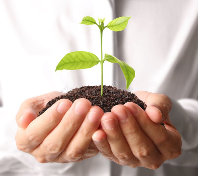 Plant growing in hand stock image. Image of background - 68773865