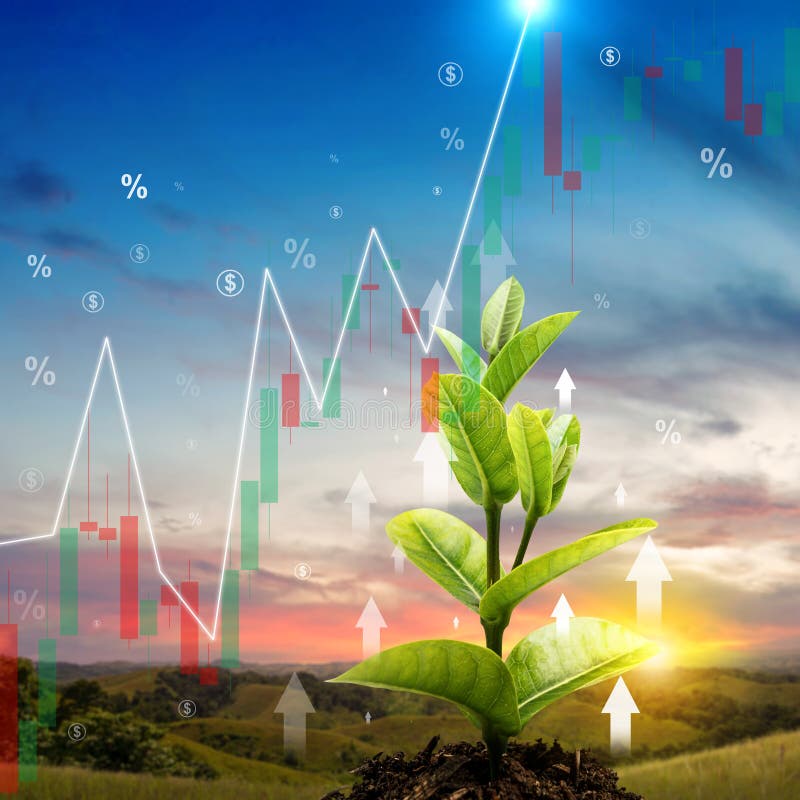 Plant Growing with Increases in Profitability Graph Stock Image - Image ...