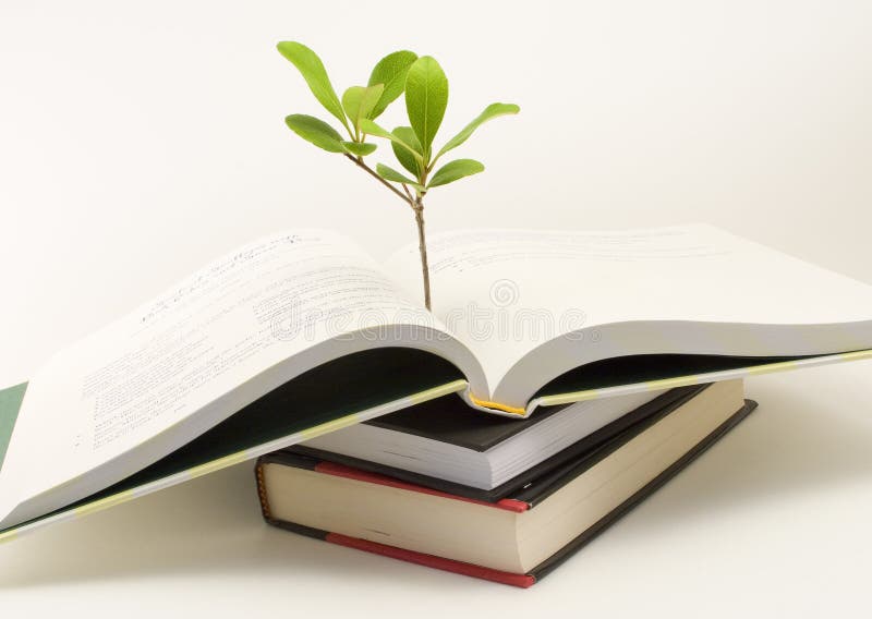 Plant Growing Out of Open Book Stock Photo - Image of ecology, white ...