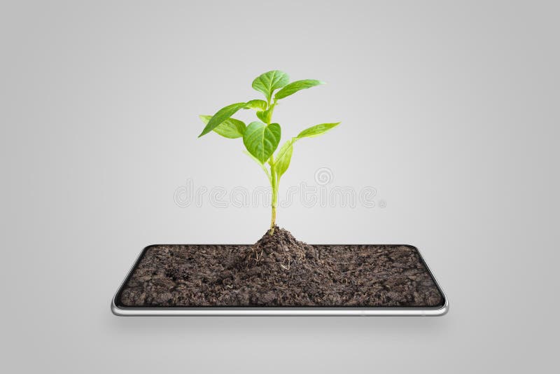 Plant Grows from a Telephone Display Stock Image - Image of seedling ...