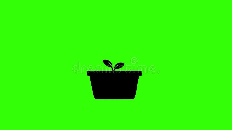 Plant Growth Animation Silhouette Style on Green Screen 4K Stock ...