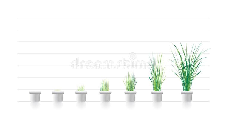 Steady Growth Stock Illustrations – 2,376 Steady Growth Stock ...