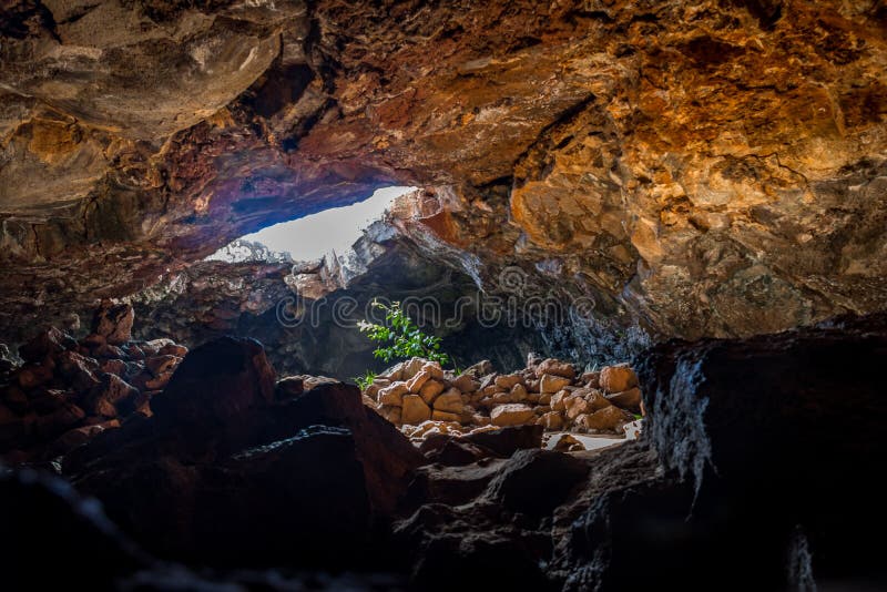 Plant Hit by Sunlight at Ana Te Pahu Cave - Easter Island, Chile Stock ...