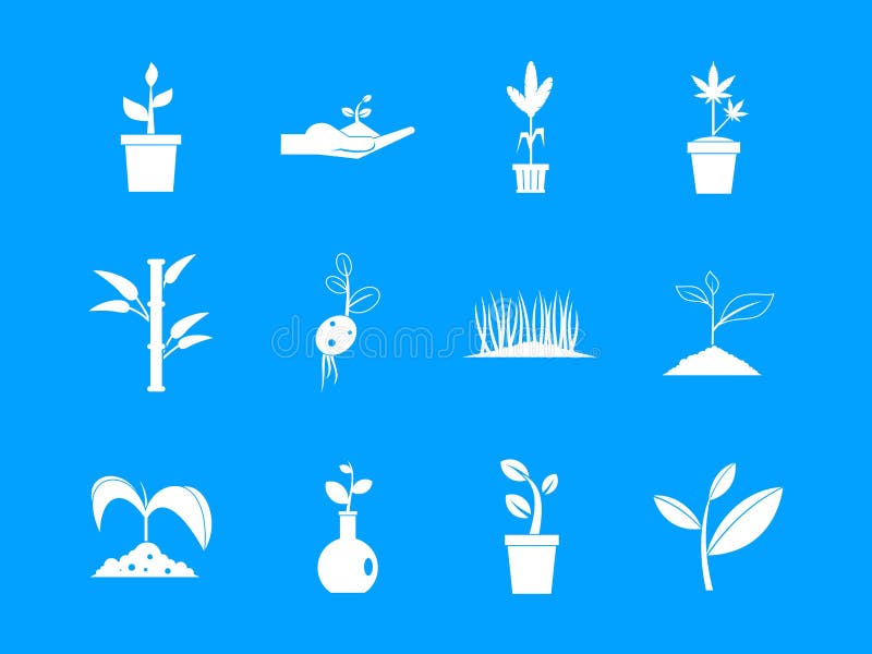 Plant icon blue set vector stock vector. Illustration of cactus - 113837504