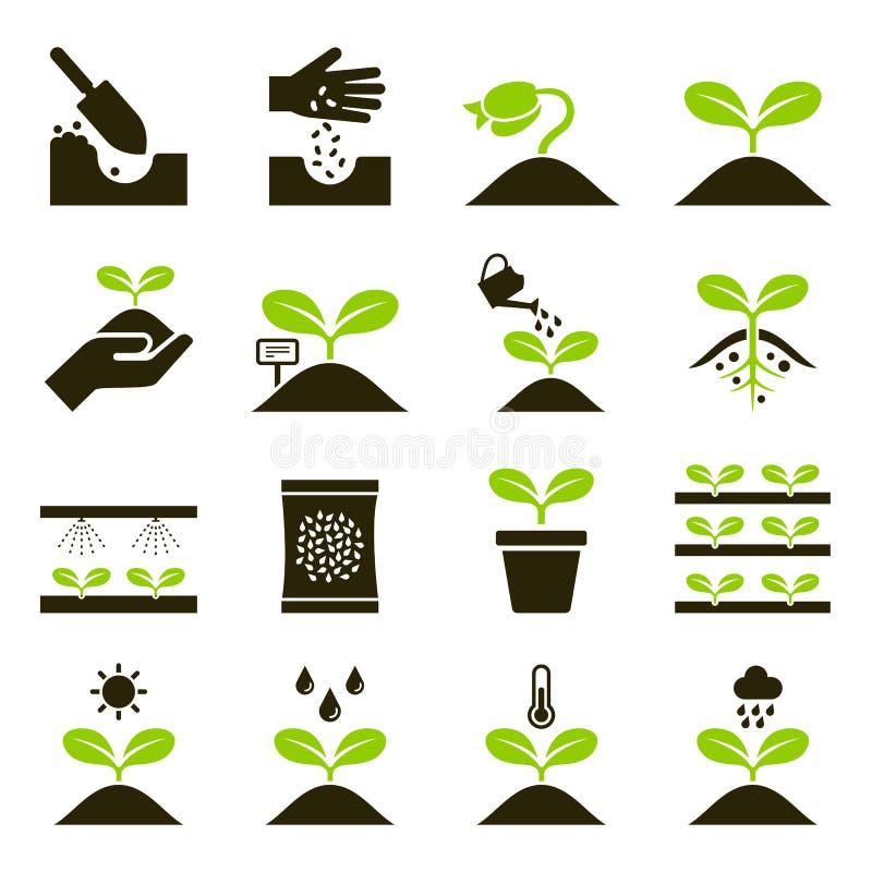 Plant Icons. Vector Illustrations Stock Vector - Illustration of ...