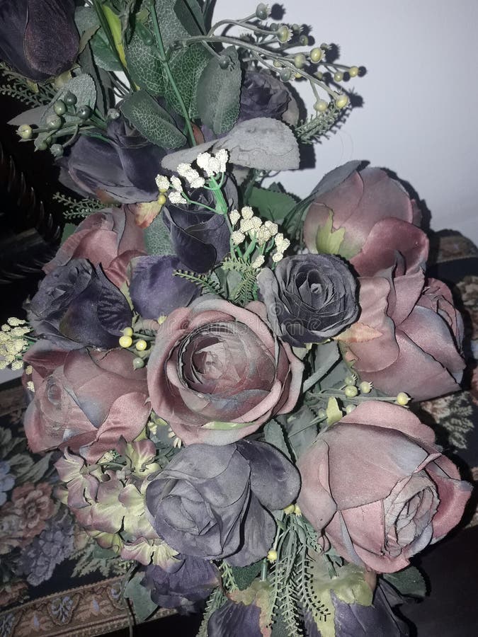 Plant Indoor Flower Leaf Beautifull Top Angle Stock Image - Image of ...