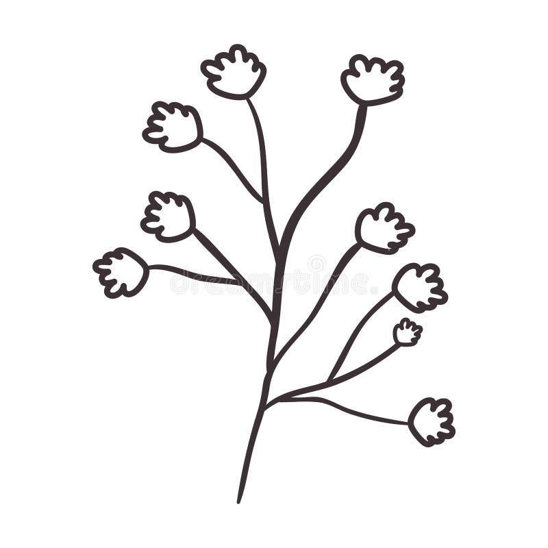 Plant with Irregulars Steam and Flowers Stock Vector - Illustration of ...