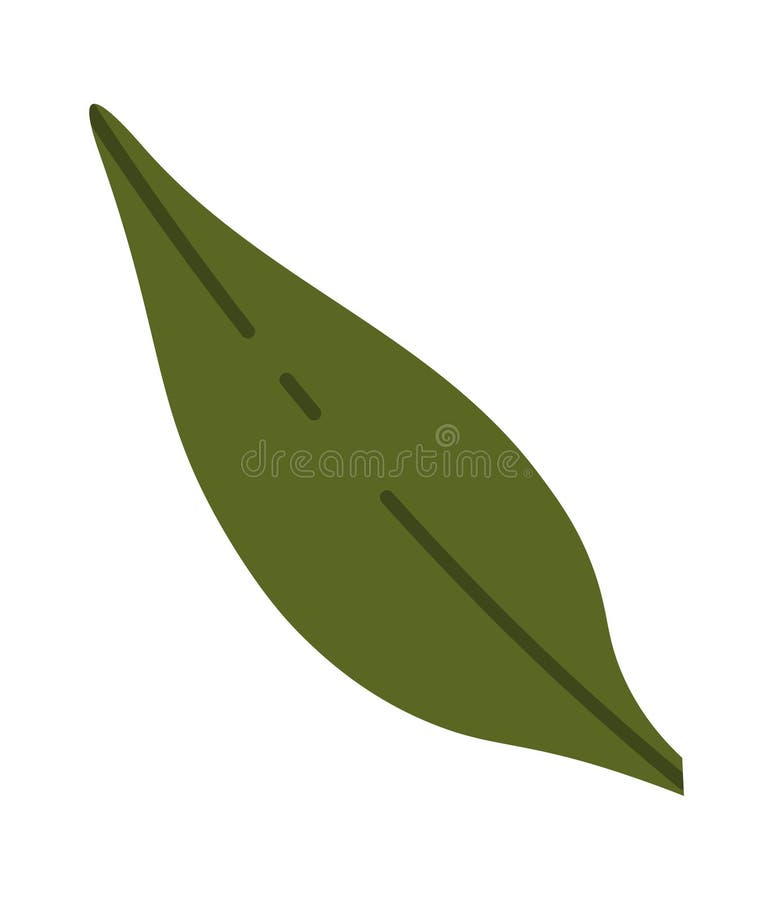 Plant Leaf Icon stock vector. Illustration of flower - 273900044